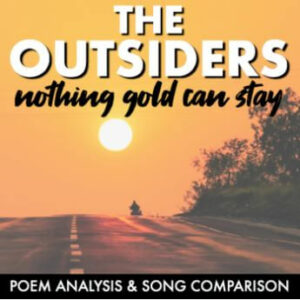24 Lesson Plans For Teaching The Outsiders | Entire Novel Study