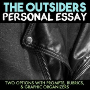 24 Lesson Plans For Teaching The Outsiders | Entire Novel Study