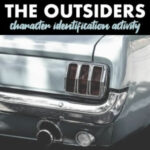 25 Lesson Plans For Teaching The Outsiders | Entire Novel Study