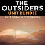 24 Lesson Plans For Teaching The Outsiders | Entire Novel Study