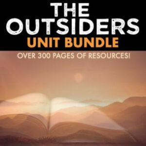 24 Lesson Plans For Teaching The Outsiders | Entire Novel Study