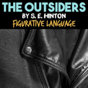24 Lesson Plans For Teaching The Outsiders | Entire Novel Study
