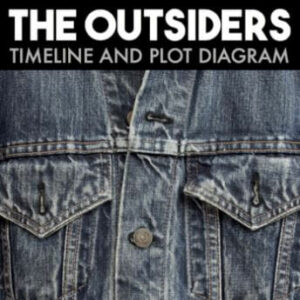 24 Lesson Plans For Teaching The Outsiders | Entire Novel Study