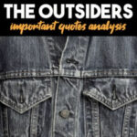 24 Lesson Plans For Teaching The Outsiders | Entire Novel Study
