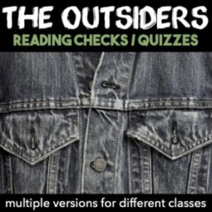 24 Lesson Plans For Teaching The Outsiders | Entire Novel Study