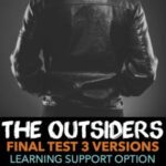 24 Lesson Plans For Teaching The Outsiders | Entire Novel Study