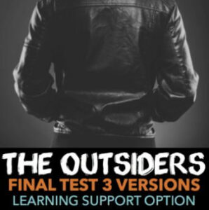 24 Lesson Plans For Teaching The Outsiders | Entire Novel Study